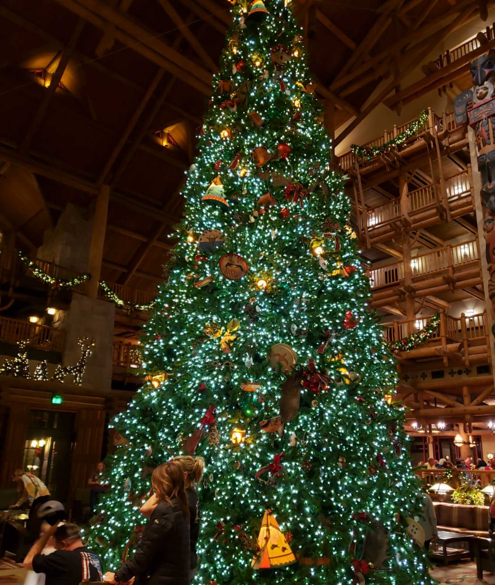 What to Wear to Disney World in December: Essential Tips for Comfort ...