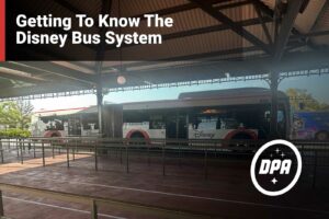 The Disney Bus System: The Ultimate Guide